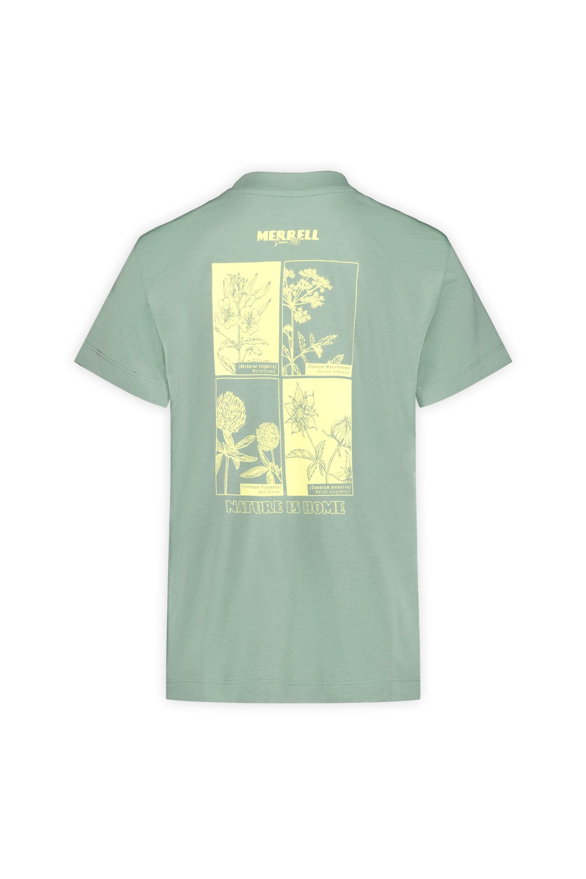 Nature Is Home Graphic Tee Iceberg Green | Merrell Australia